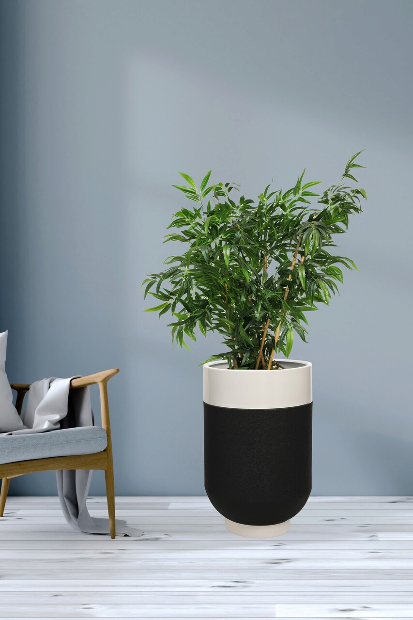 Ghiveci, Nassre, 1017-1, 40x70x40 cm, Alb/Negru - mezoni.ro