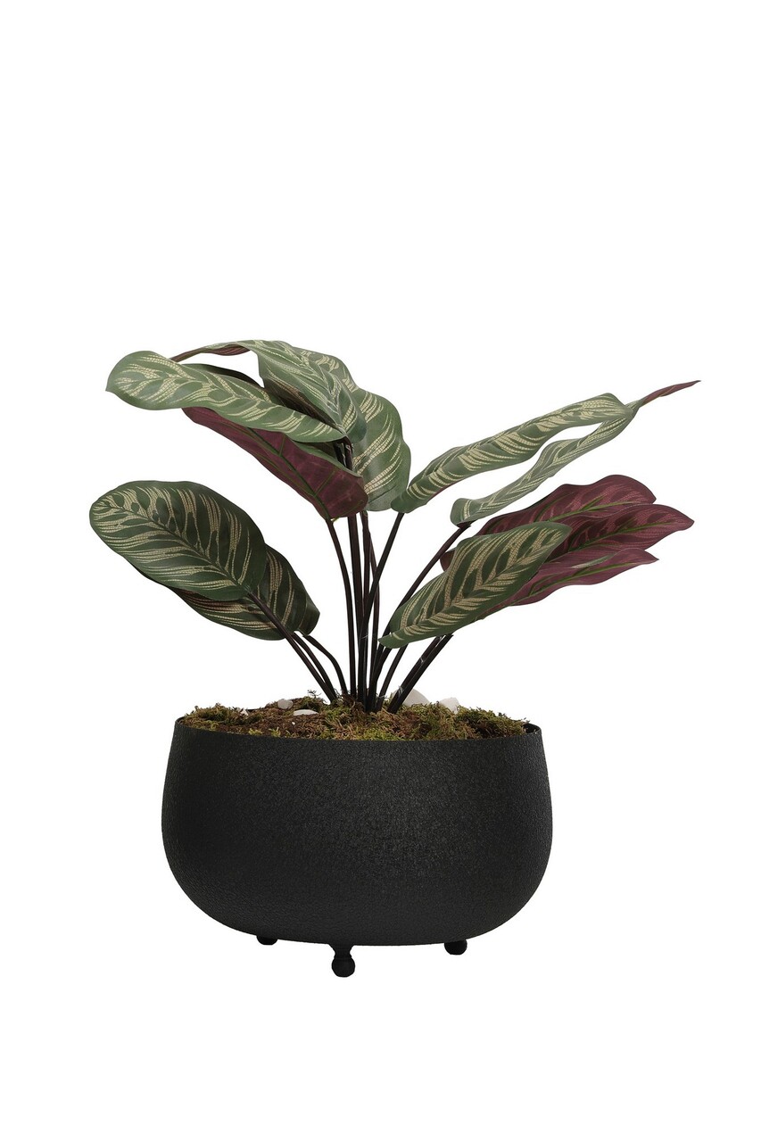 Ghiveci, Nassre, 1026-2, 28x20x28 cm, Negru - mezoni.ro