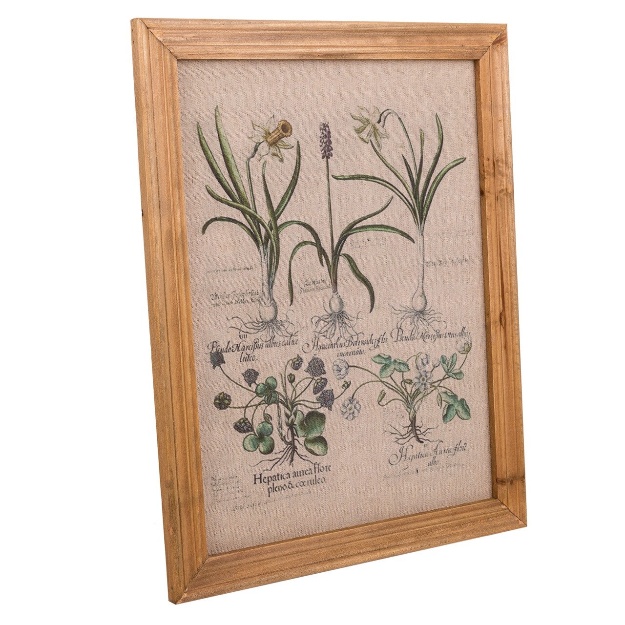 Tablou Botanical, Creaciones Meng, iuta/brad chinezesc, 33x43 cm ...
