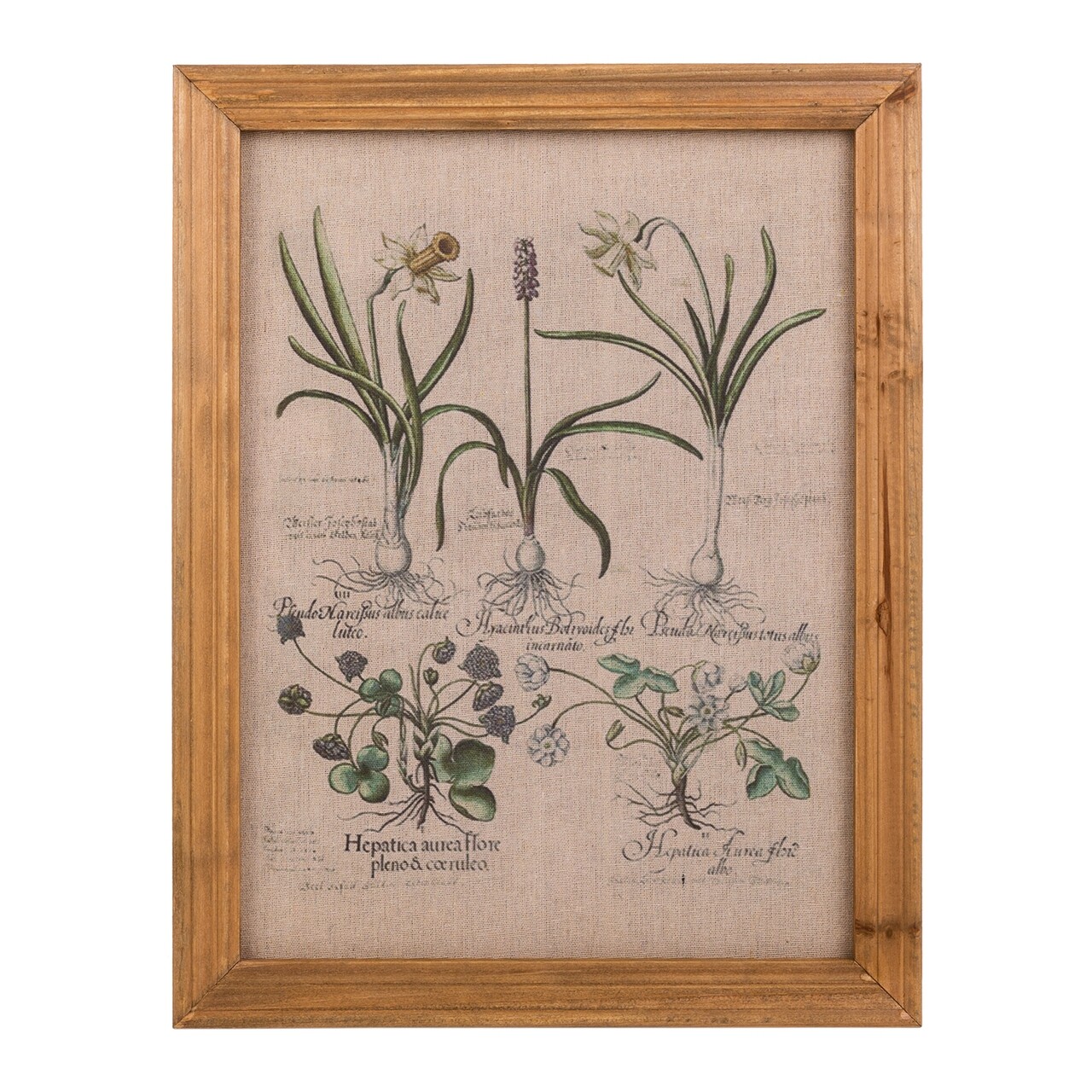 Tablou Botanical, Creaciones Meng, iuta/brad chinezesc, 33x43 cm ...